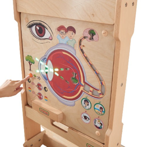 Sense of Sight– SchoolSupportServices